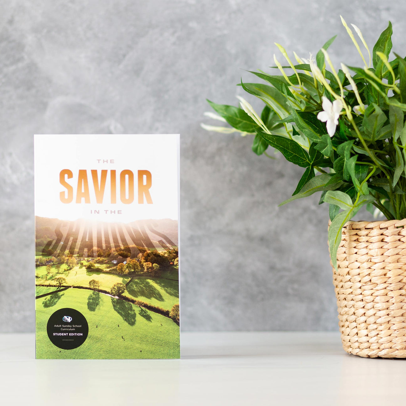 Adult Curriculum – North Valley Publications