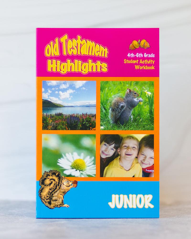 Old Testament Highlights - Junior Workbook (Digital) – North Valley ...