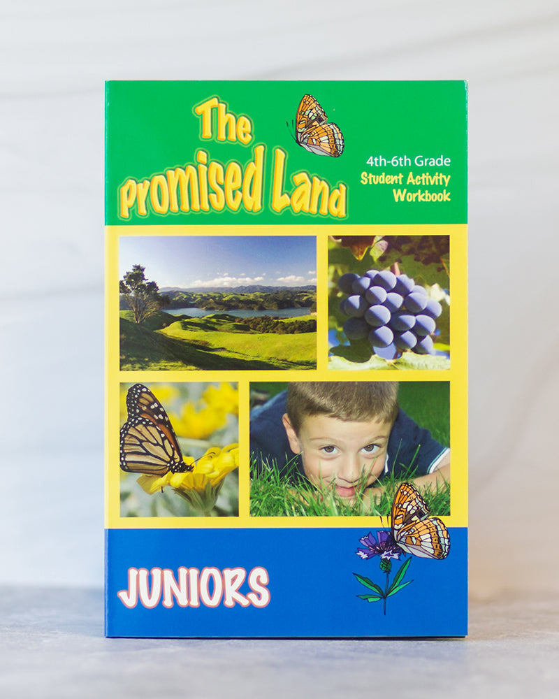 The Promised Land - Junior Workbook (Digital) – North Valley Publications