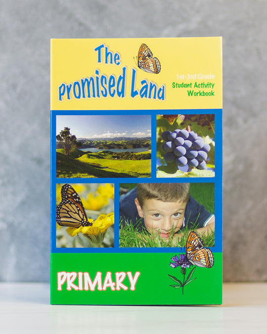 The Promised Land - Primary Workbook (Digital) – North Valley Publications